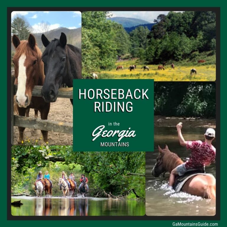 🐎 Horseback Riding in North Georgia | Ga Mountains Guide