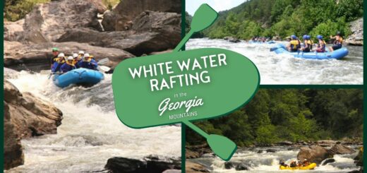Unique fun in North Georgia's mountains | Ga Mountains Guide