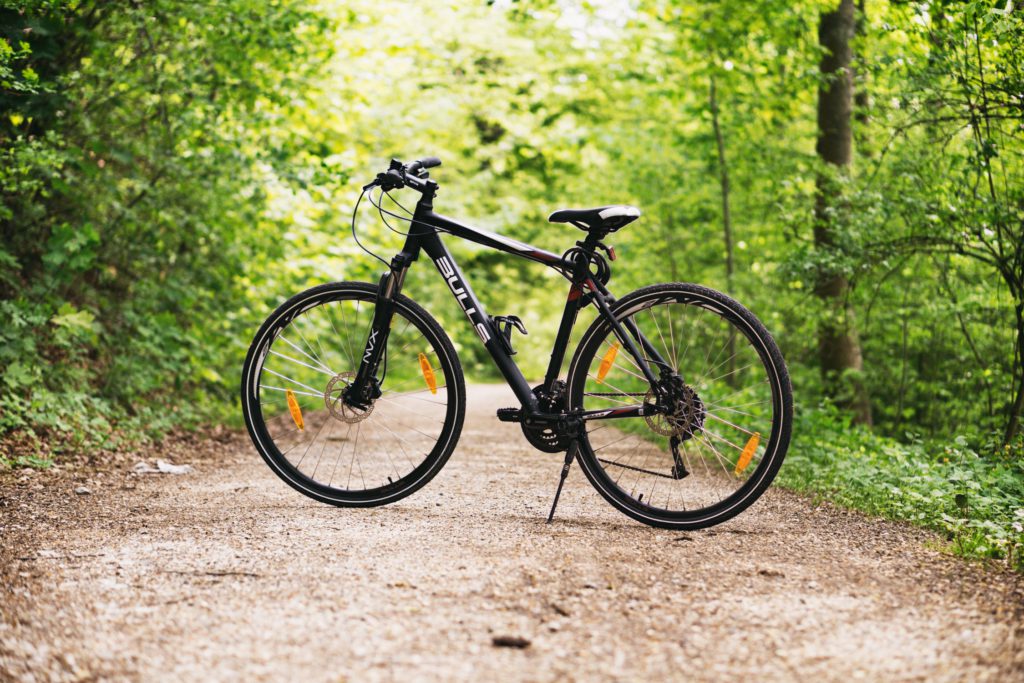 Bike Rentals in the Georgia Mountains ? Ga Mountains Guide
