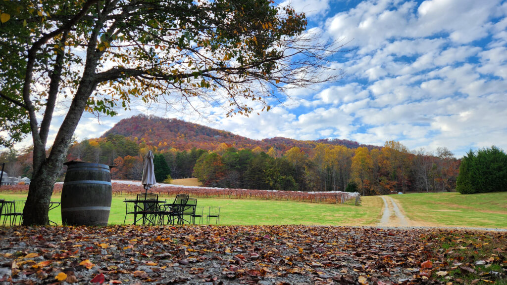 Tiger Mountain Vineyards in scenic North Georgia mountains