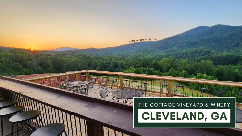 🍷The Cottage Vineyard & Winery in scenic North Georgia