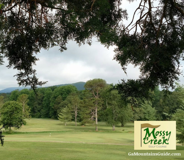 ⛳ Golf Courses North Georgia | Ga Mountains Guide