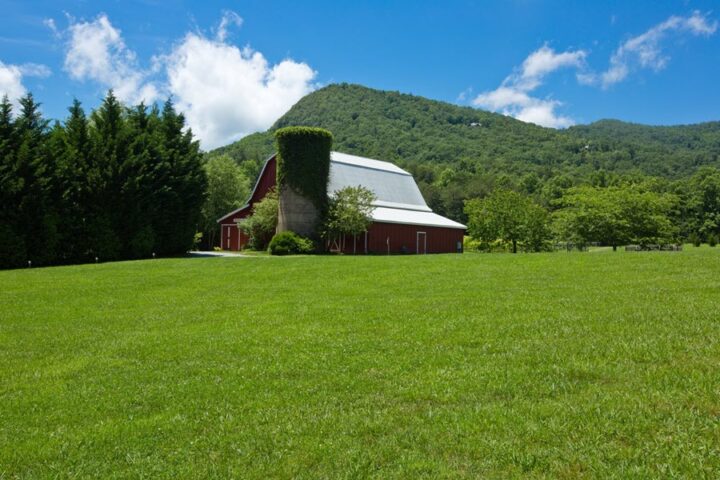 North Georgia Mountains Wine Country Guide and Winery Map