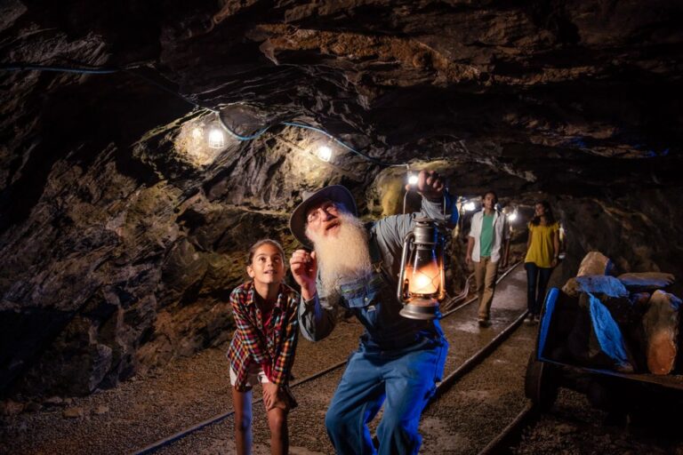 Panning for Gold in North Georgia 🟡 Ga Mountains Guide