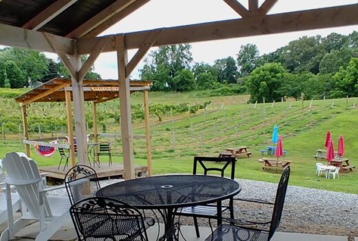 🍇🪜 Visit Grapes & Ladders Vineyard and Winery in Ellijay