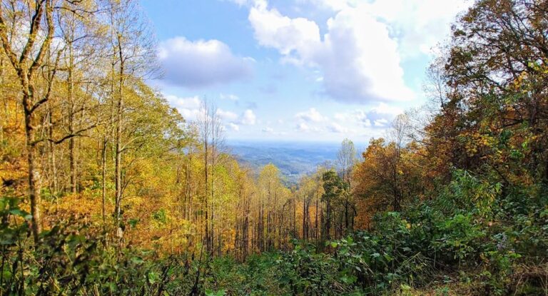 Scenic Drives in the North GA Mountains 🏔️ Road Trip Guide