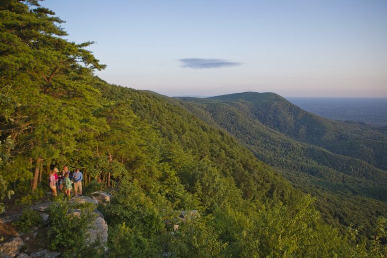 Scenic Drives in the Georgia Mountains ? Ga Mountains Guide