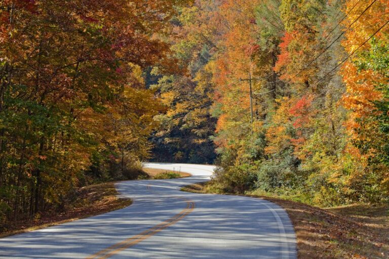 Scenic Drives in the Georgia Mountains ? Ga Mountains Guide