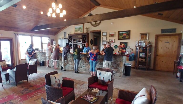 Ott Vineyards and Winery in Ellijay GA | Ga Mountains Guide