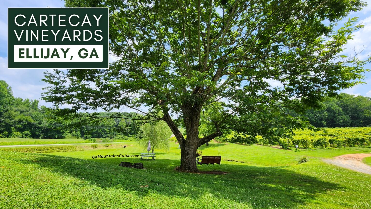 Cartecay Vineyards in Ellijay, GA | Ga Mountains Guide