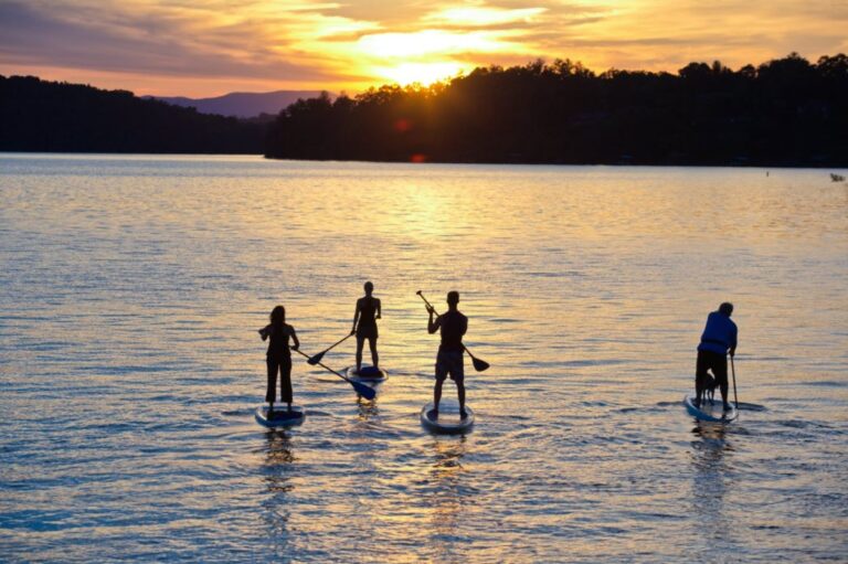 ? Top Kayak, Canoe, & Paddleboard Rentals in North Georgia!