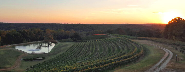 Montaluce Winery and Restaurant in the Georgia Mountains! 🍇