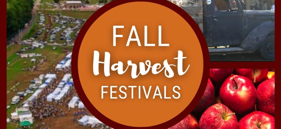 Unique fun in North Georgia's mountains | Ga Mountains Guide