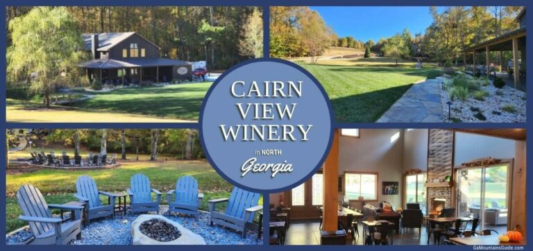 Enjoy a Unique Wine Tasting Experience at Cairn View Winery
