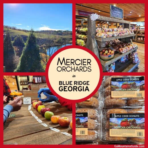 Mercier Orchards in Blue Ridge, GA | Ga Mountains Guide