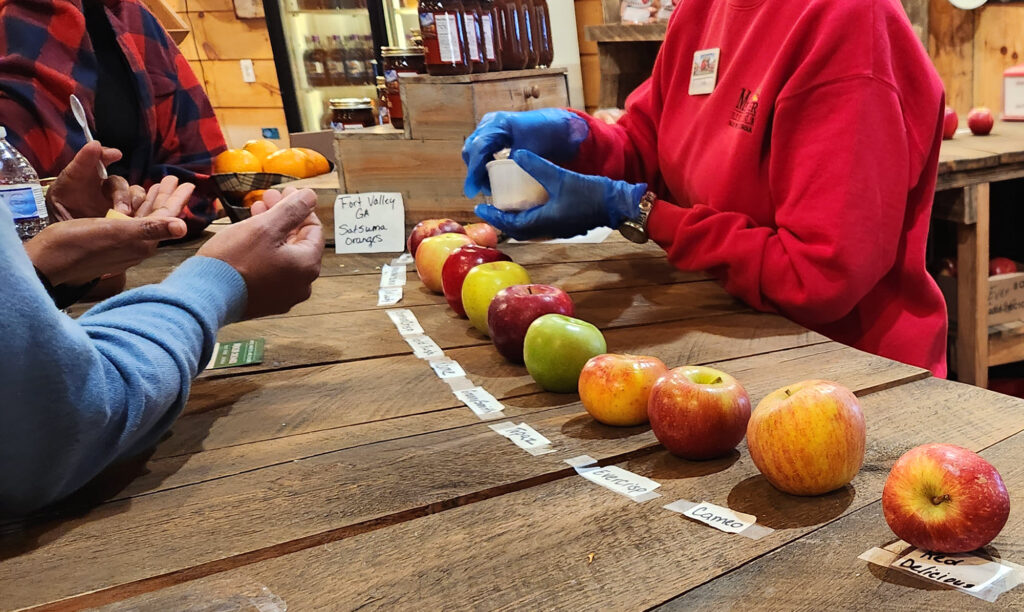 Mercier Orchards in Blue Ridge, GA | Ga Mountains Guide