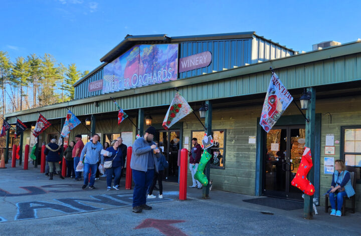 Mercier Orchards in Blue Ridge, GA | Ga Mountains Guide