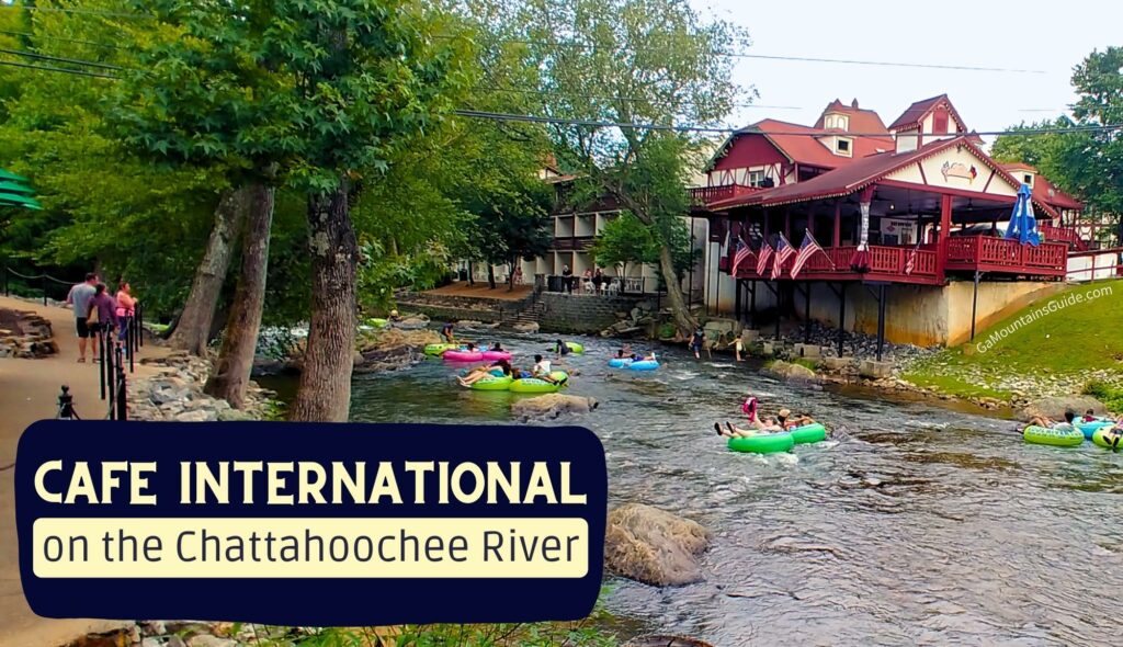 Scenic Waterfront Dining in North Georgia Mountains🍴🌄