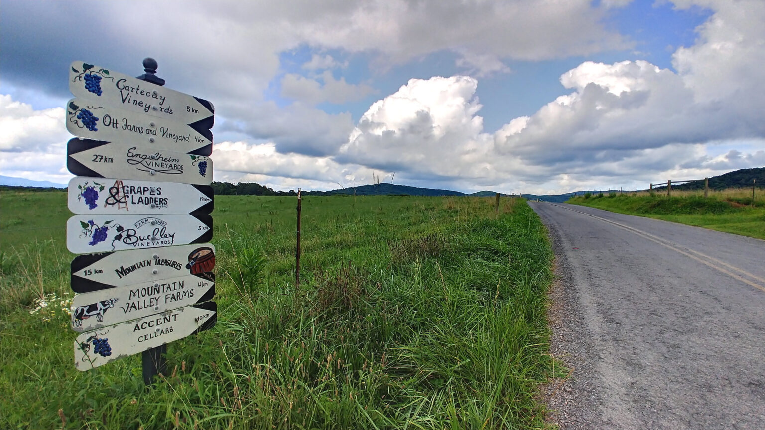 🍷Ultimate Guide to the 2026 Georgia Wine Highway🍇🗺️