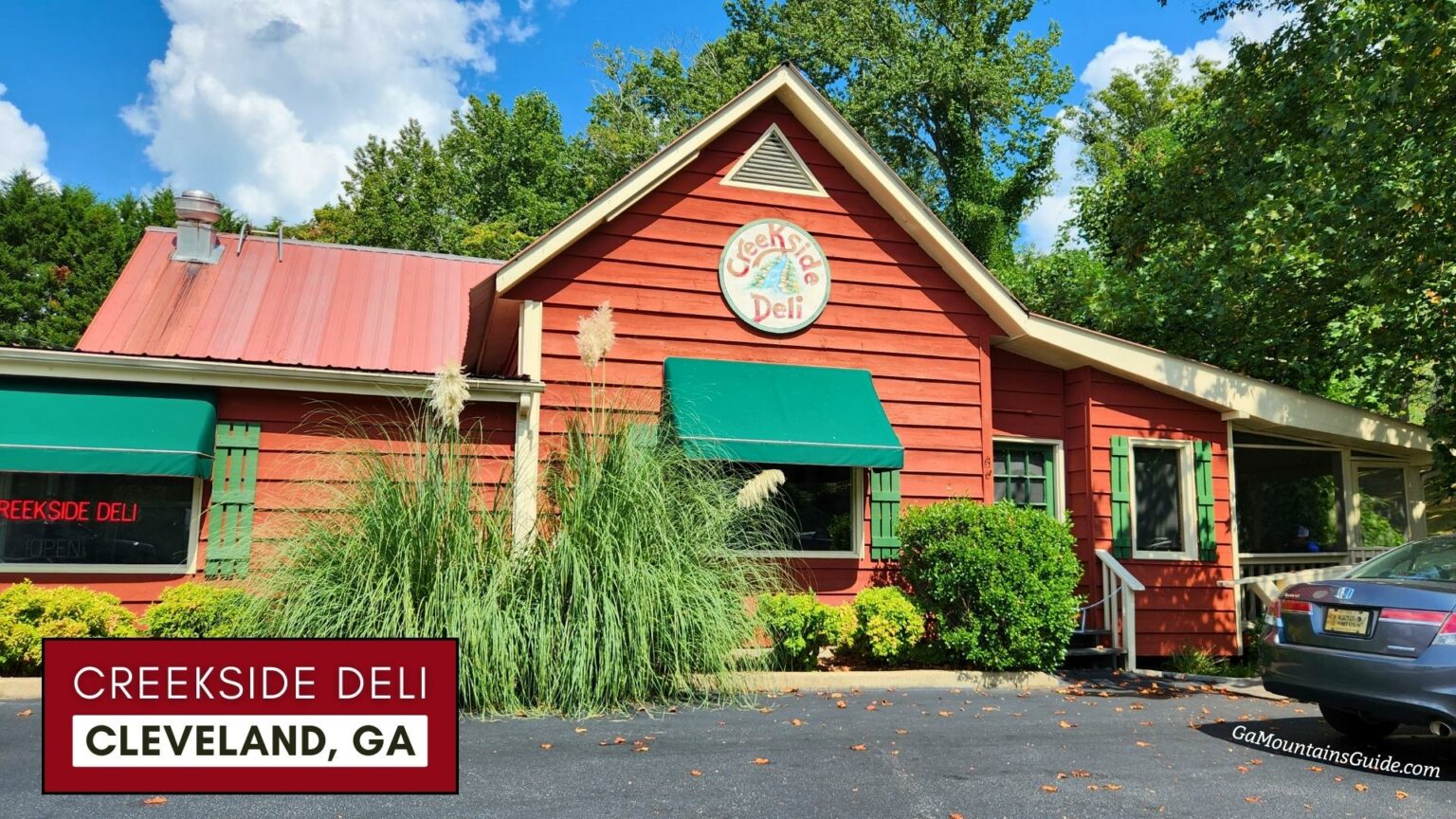 Scenic Waterfront Dining in North Georgia Mountains🍴🌄