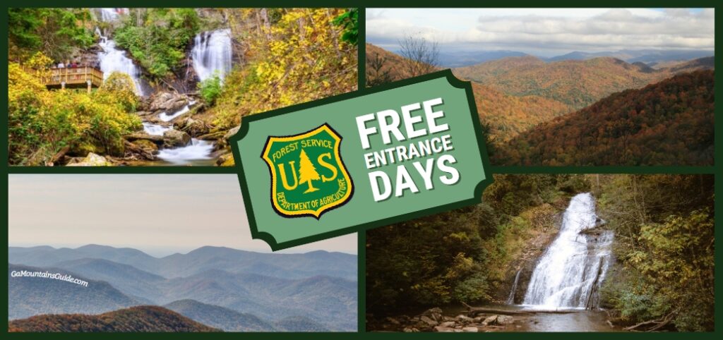 Georgia-National-Forest | Ga Mountains Guide