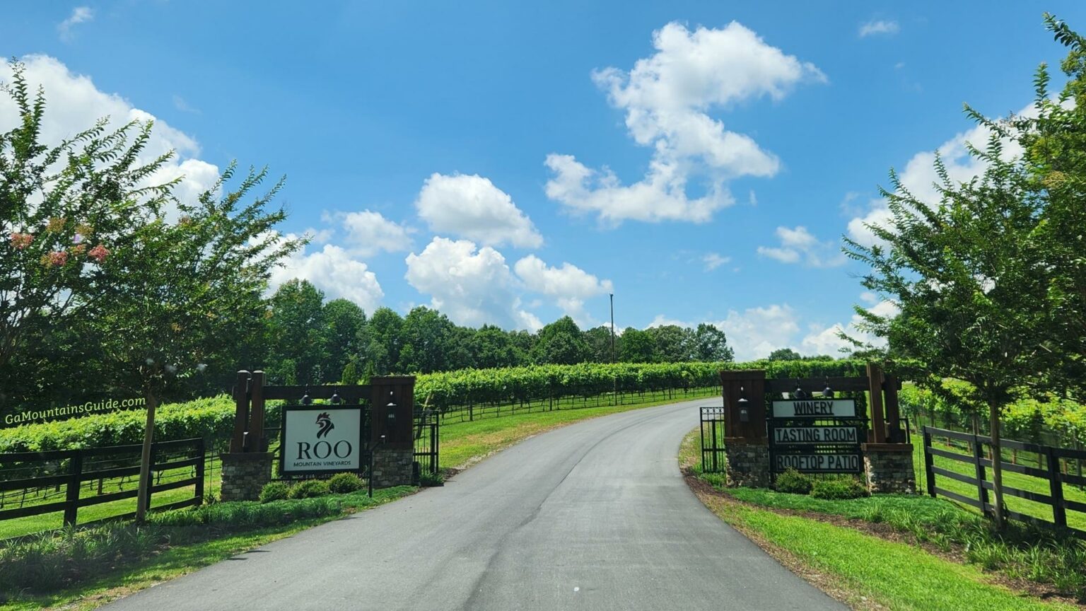 Roo Mountain Vineyards in Ellijay GA ? | Ga Mountains Guide
