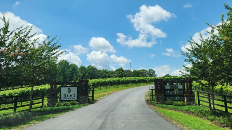 Roo Mountain Vineyards in Ellijay GA ? | Ga Mountains Guide