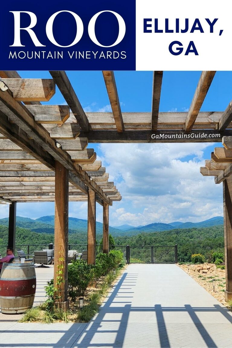 Roo Mountain Vineyards in Ellijay GA ? | Ga Mountains Guide