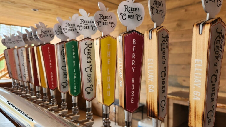 🍏 Sip Local Hard Ciders at Reece's Cider Co in Ellijay! 🍎