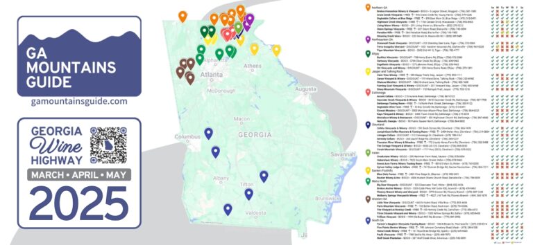 Ultimate Guide to the 2025 Georgia Wine Highway🍷🗺️