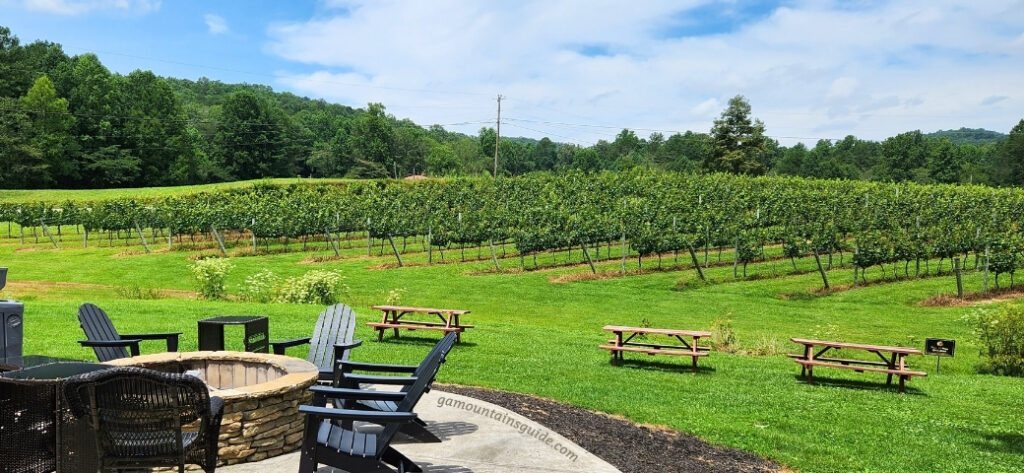 North Georgia Mountains Wine Country Guide and Winery Map
