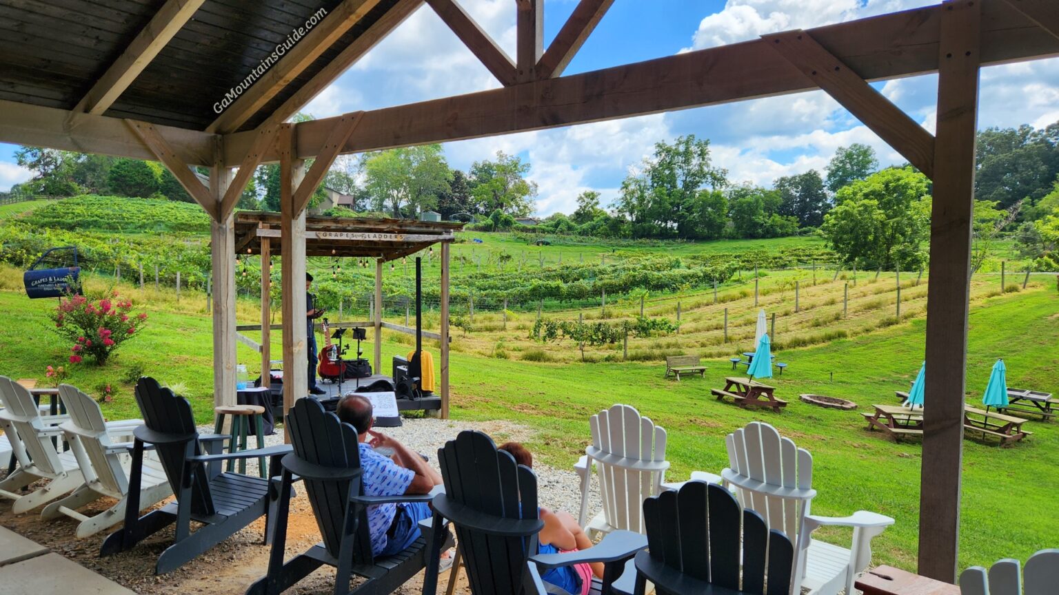🍇🪜 Visit Grapes & Ladders Vineyard and Winery in Ellijay