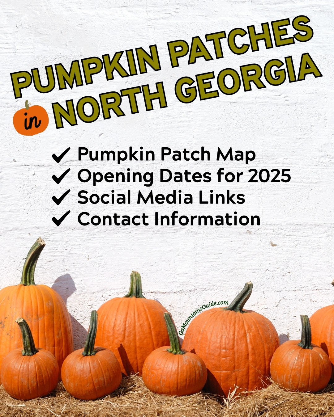 North-Georgia-Pumpkin-Farms | Ga Mountains Guide